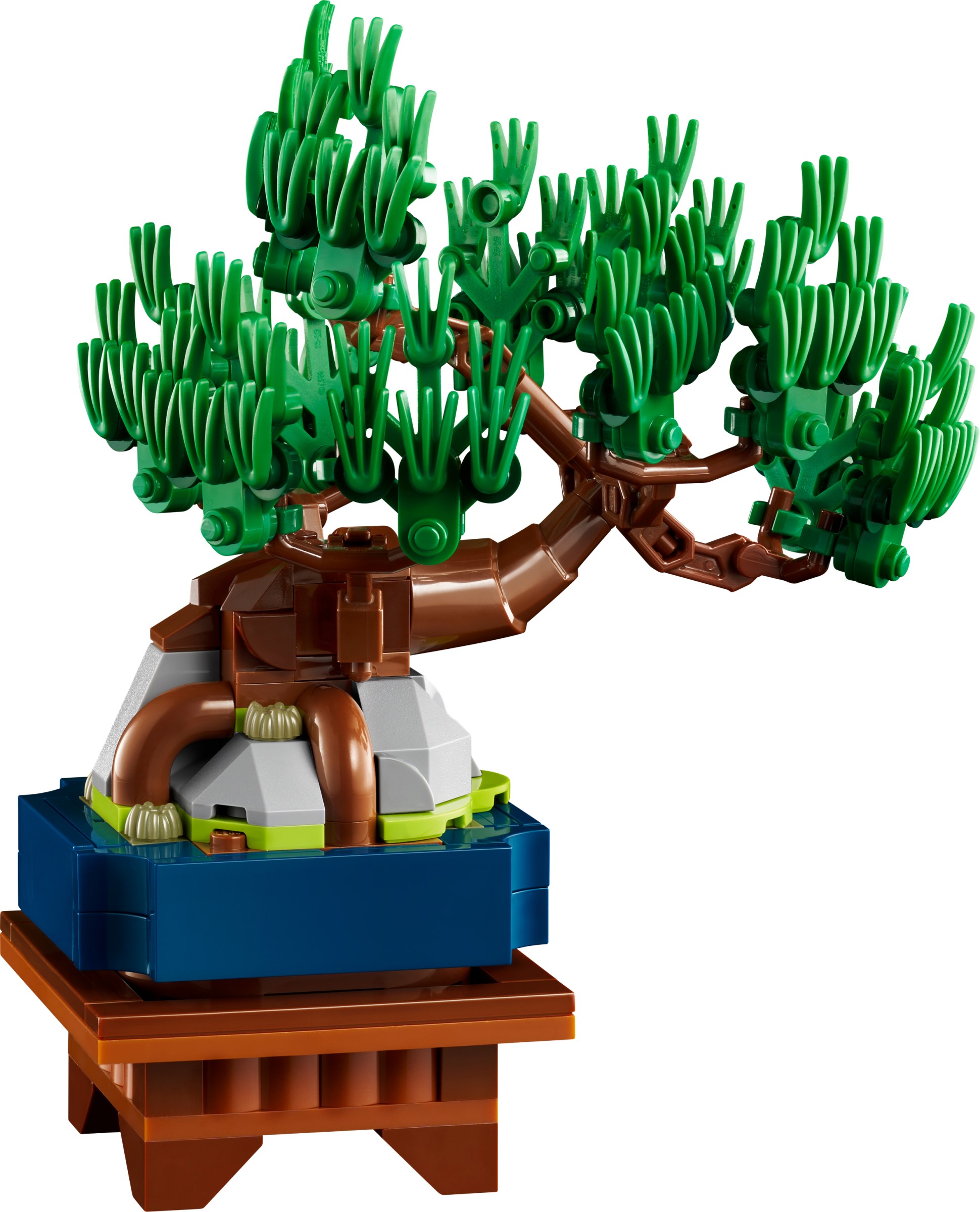 LEGO Botanicals Hibiscus and Mini Bonsai Trees unveiled! | Brickset